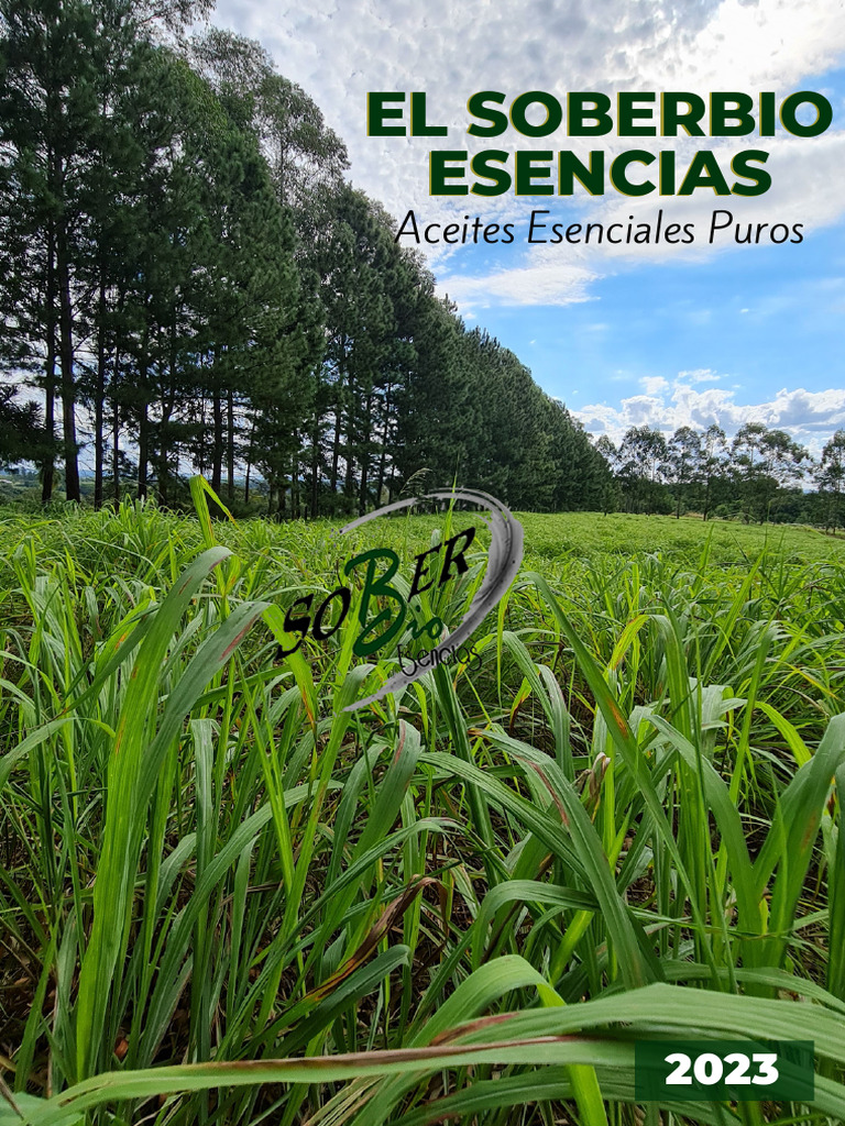 Aceites Esenciales Puros de El Soberbio | PDF | Aromaterapia | Vela