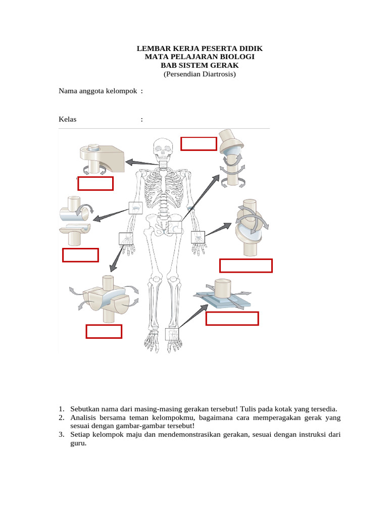 LKPD Sistem Gerak | PDF
