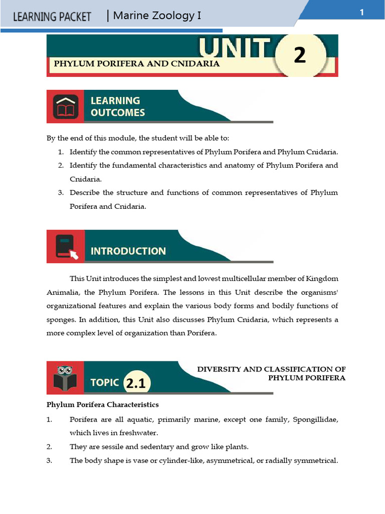 MODULE 2 (Phylum - Porifera-And Cnidaria) | PDF | Sponge