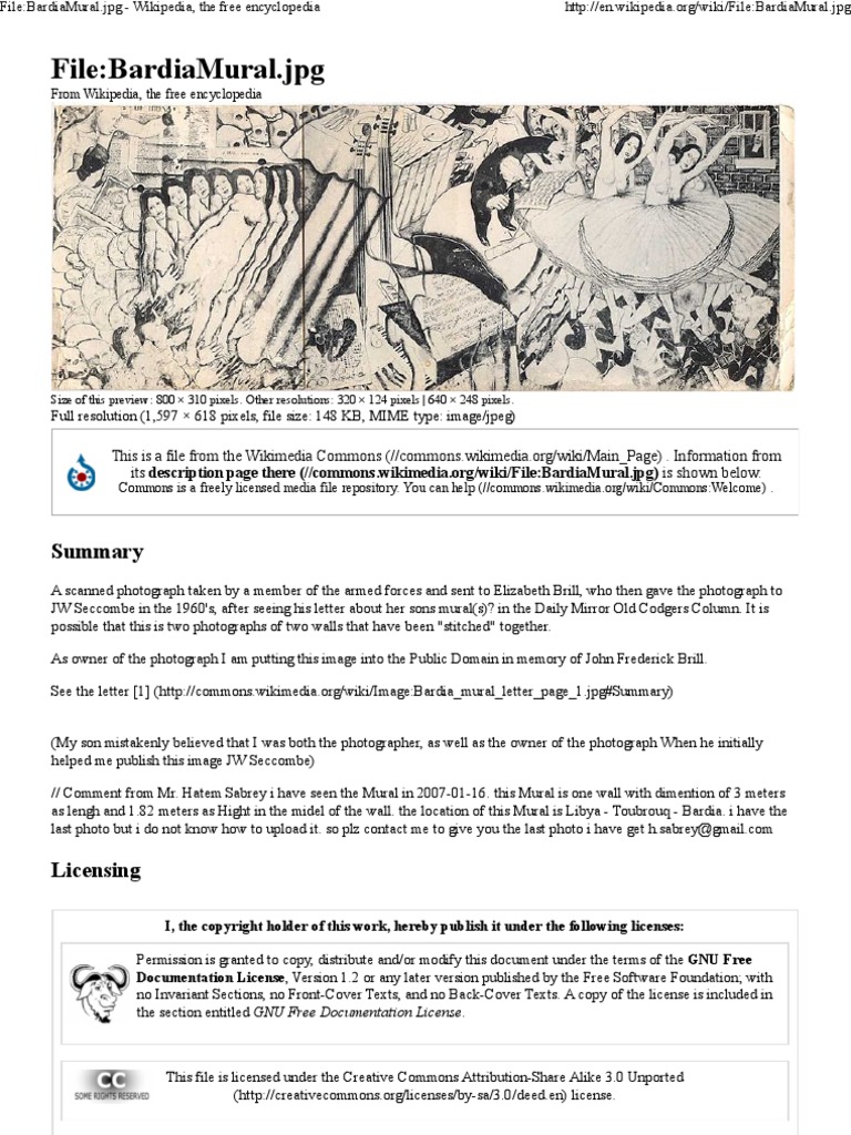 Bardia Mural Historical Photograph | PDF | Computing | Intellectual Works