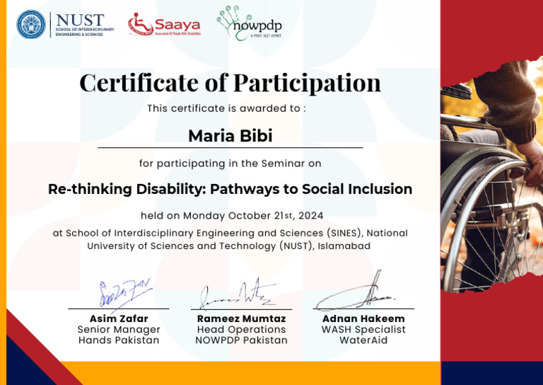 Pathway To Social Inclusion | PDF