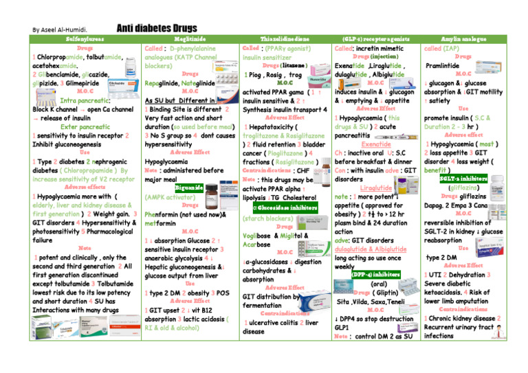 Comprehensive Guide to Anti-Diabetes Drugs | PDF | Hypoglycemia | Insulin
