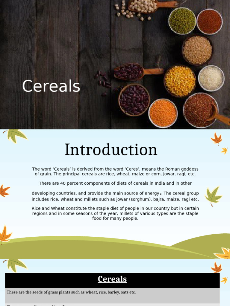 Types and Uses of Cereals Explained | PDF | Cereals | Rice