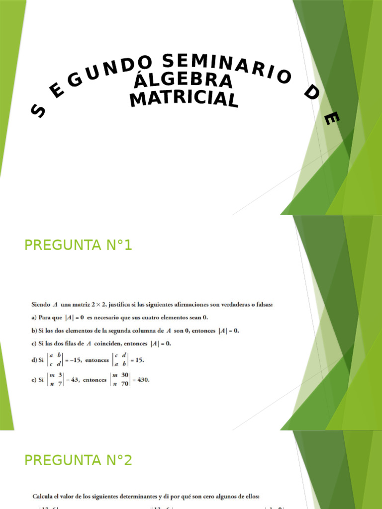 Segundo Seminario Algebra Matricial Matrices 2025 I | PDF