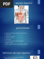 Anatomia, Irrigacion, Inervación Del Esofago y Estomago | PDF ...