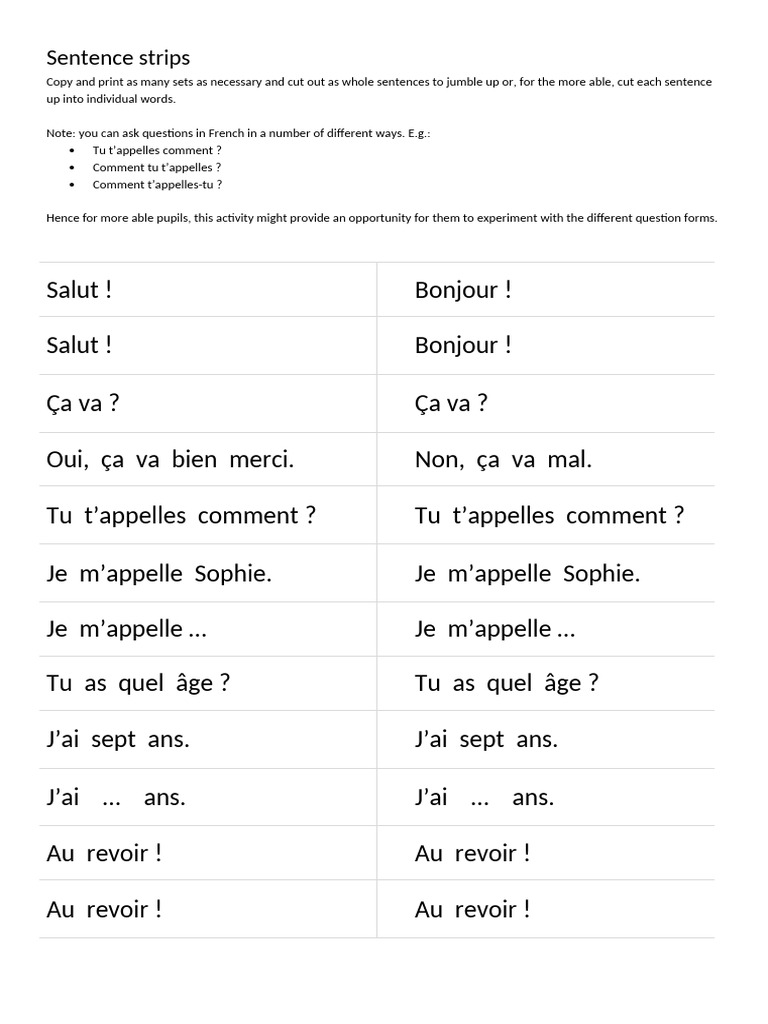 French Sentence Strips Activity | PDF