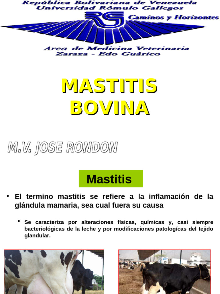 Mastitis Bovina: Causas y Tratamientos | PDF | Inflamación | Leche