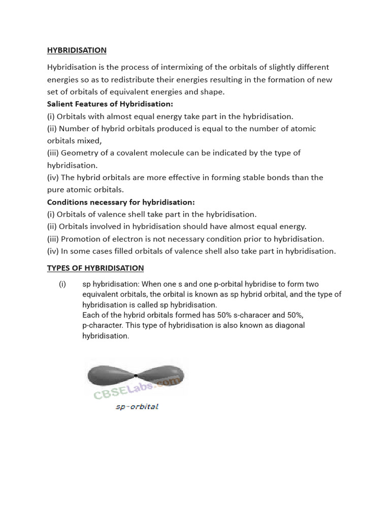 Hybridisation | PDF