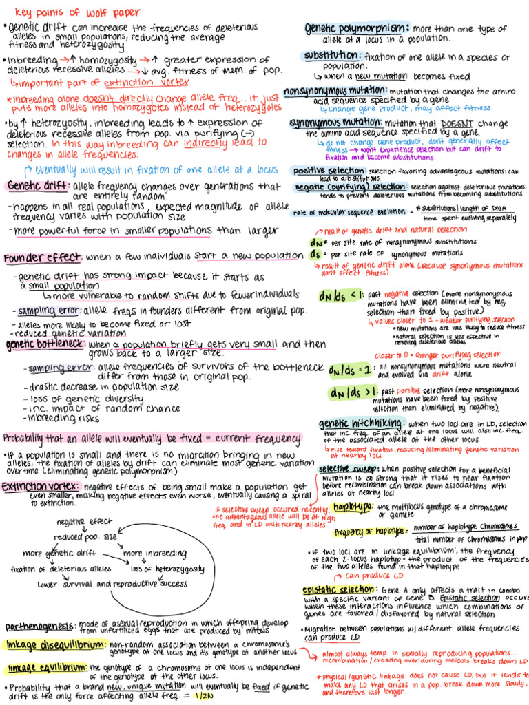 Key Points on Evolution Dynamics | PDF | Zygosity | Evolution
