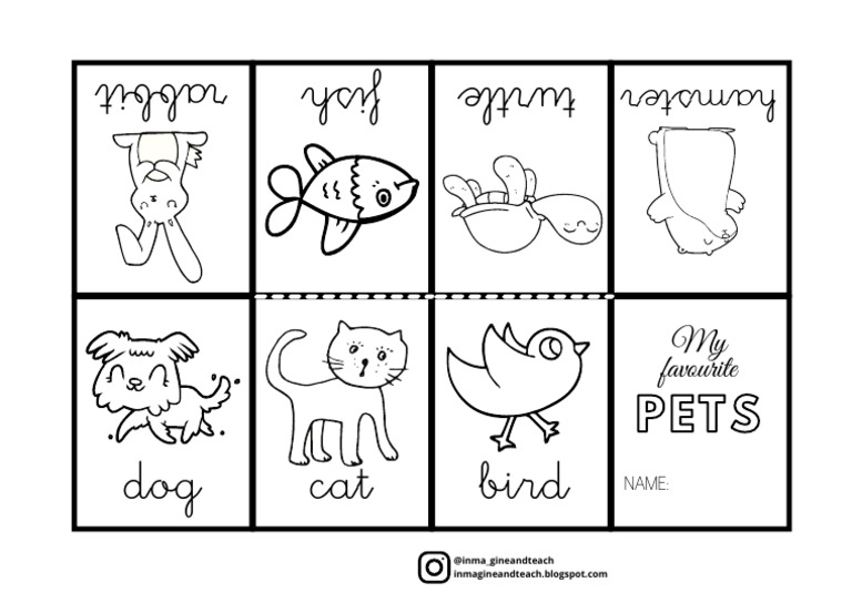 Mini Book PETS @inma - Gineandteach | PDF