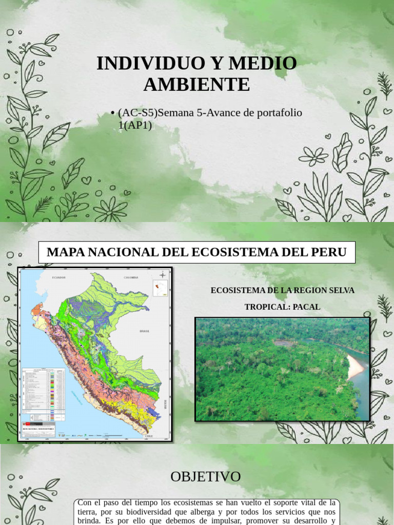 Ecosistema Pacal: Biodiversidad y Recursos | PDF | Perú | Entorno natural