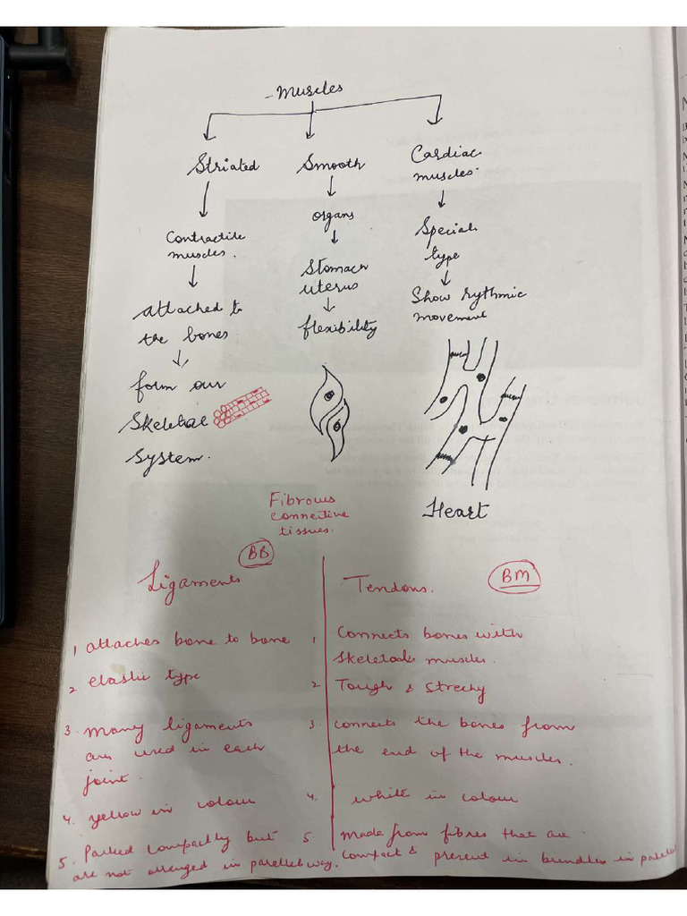 Biology Grade 7 | PDF