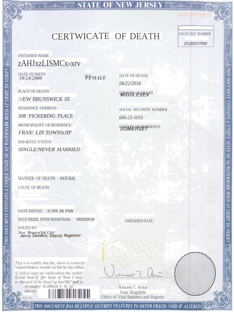 New Jersey Death Certificate Details | PDF