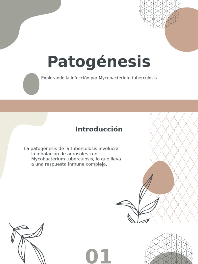 Patogénesis de la tuberculosis | PDF | Sistema inmune | Macrófago