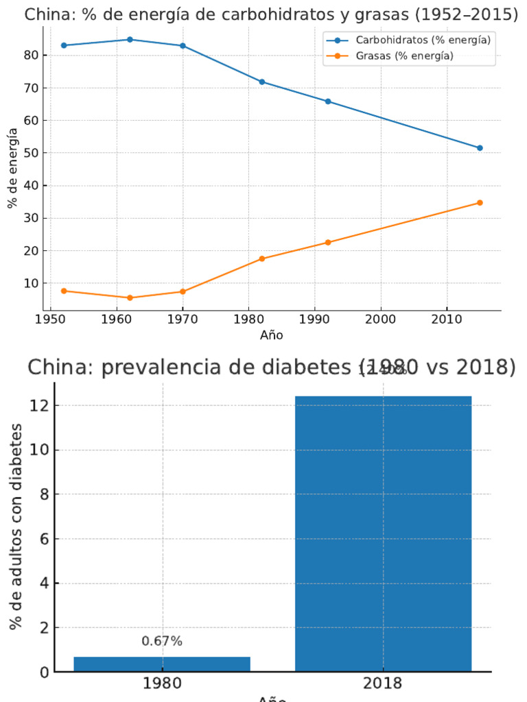 China Obesity Diabetes Diet Activity Charts | PDF