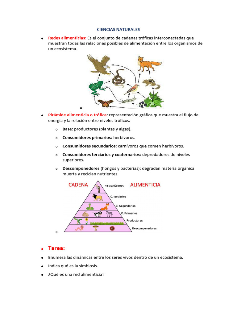 Redes-Alimenticias-El Ecosistema-8vo-2da Parte | PDF