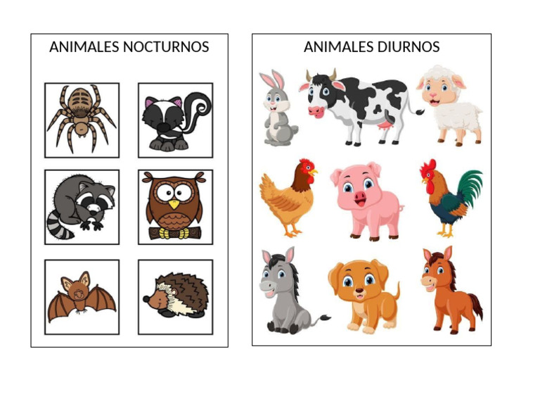Animales Diurnos y Nocturnos | PDF