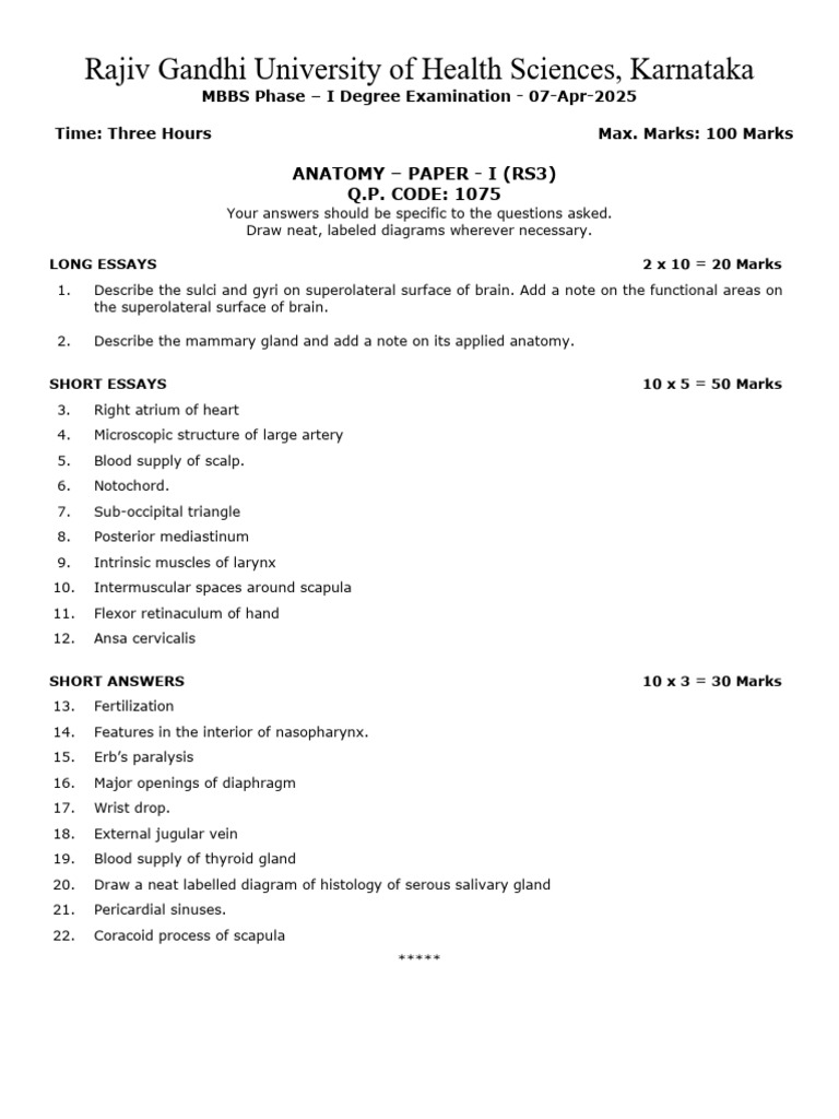 Rguhs 2019-2025 Anatomy QP | PDF | Vein | Aorta