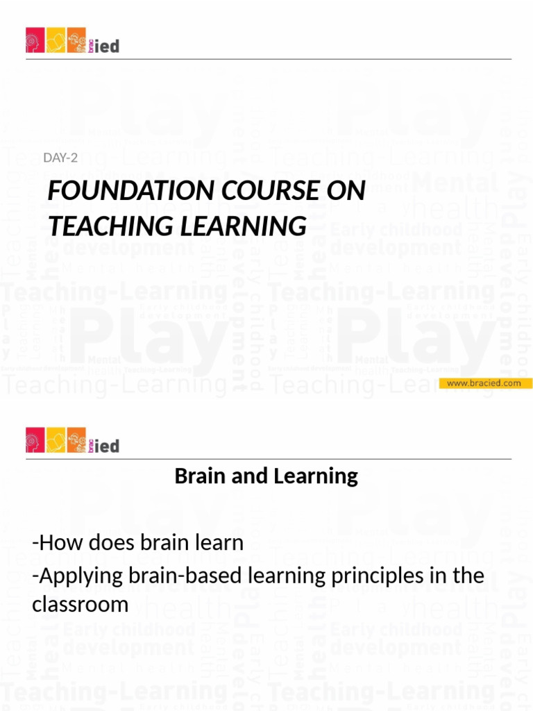 Brain-Based Learning Principles Overview | PDF | Learning | Mind