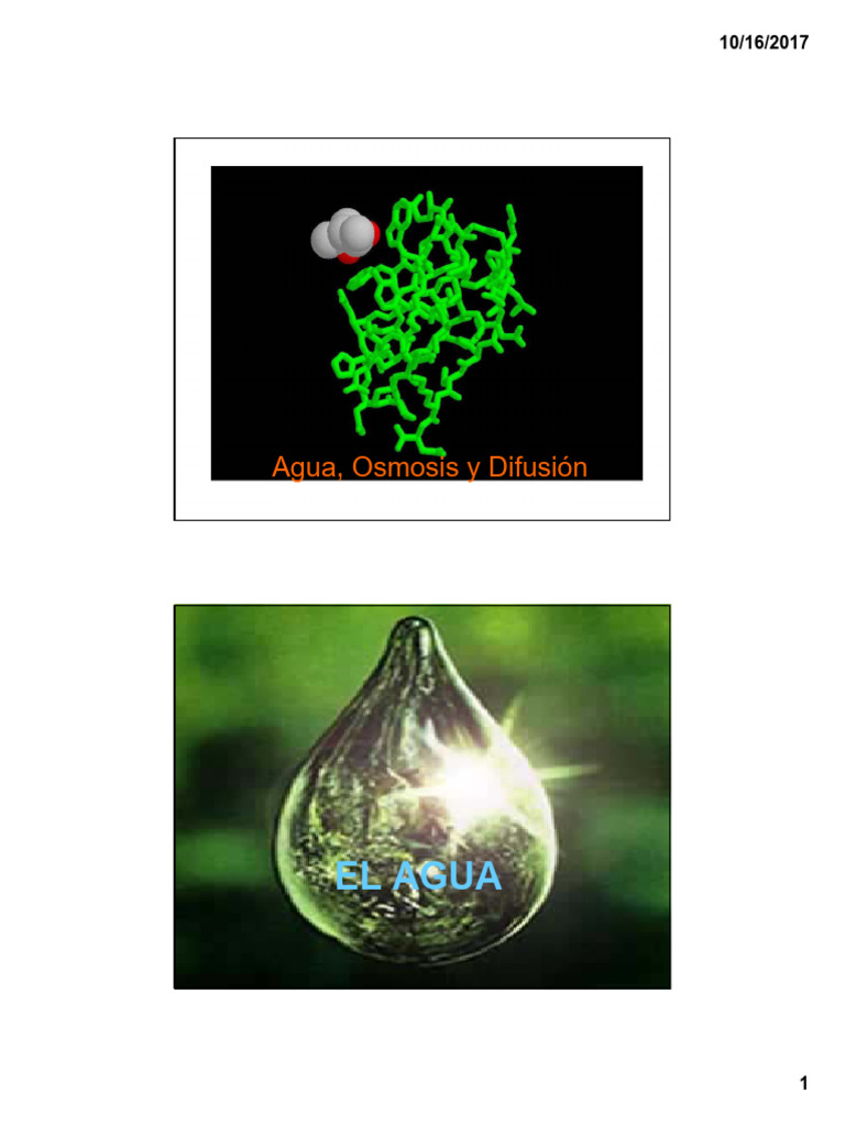 Agua, Osmosis y Difusion | PDF | Propiedades del agua | Agua