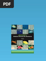 Sea Animal Vocabulary List | PDF