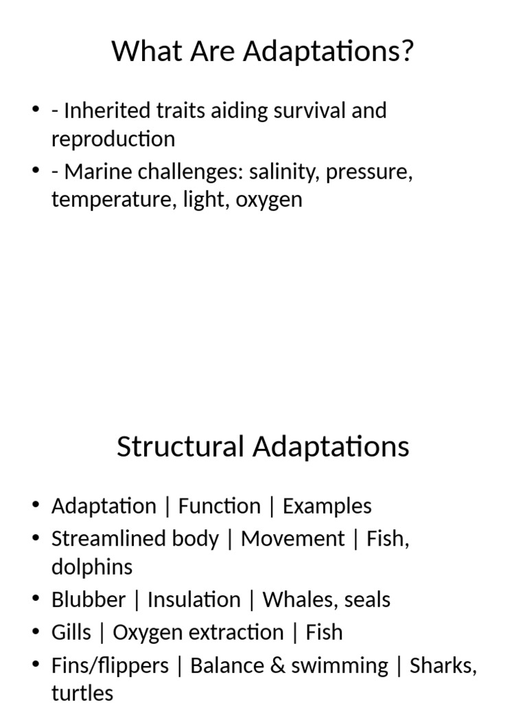 Marine Adaptations Energy Transfer | PDF