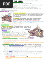 Dogfish Mouth Muscles Overview | PDF | Pelvis | Mouth
