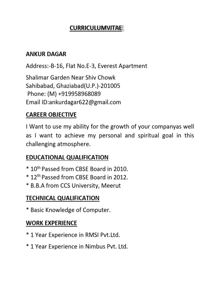 Curriculum Vitae | PDF