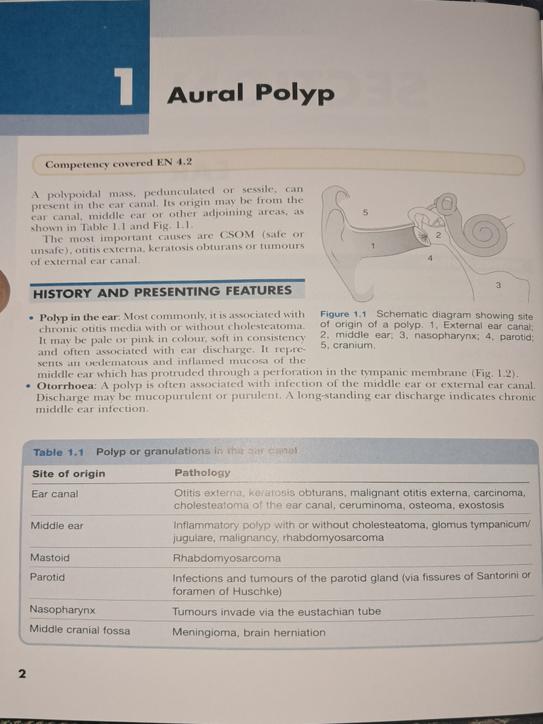 Ear Examination | PDF