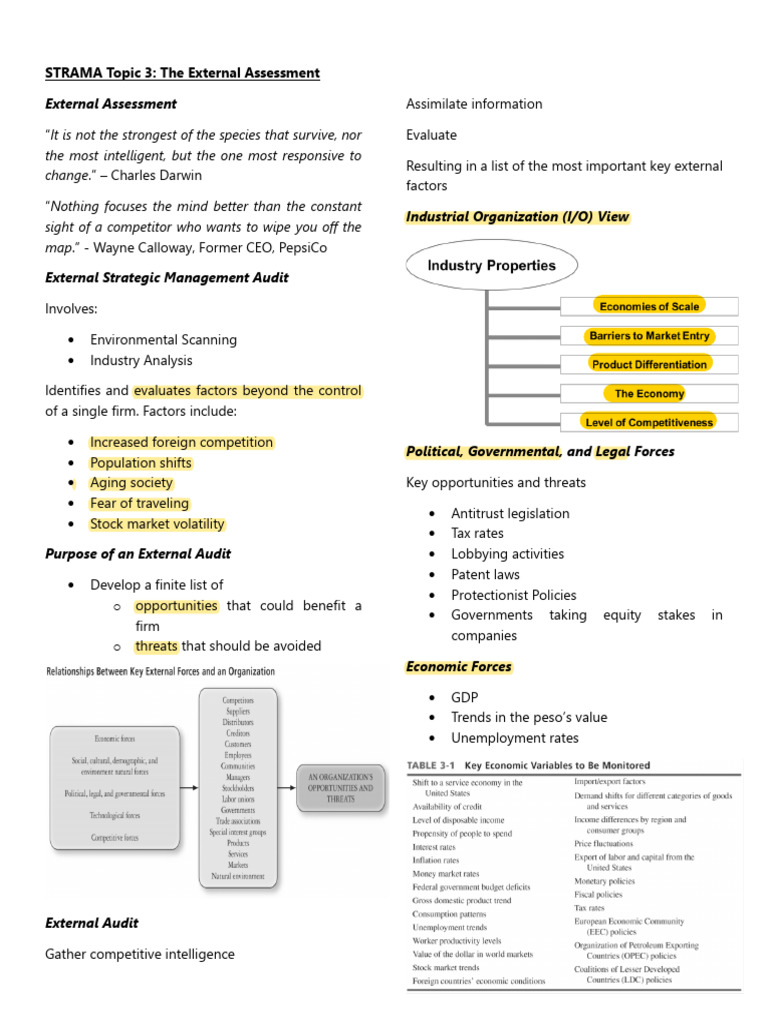 STRAMA Topic 3 (External Assessment) | PDF | Chief Information Officer | Strategic Management