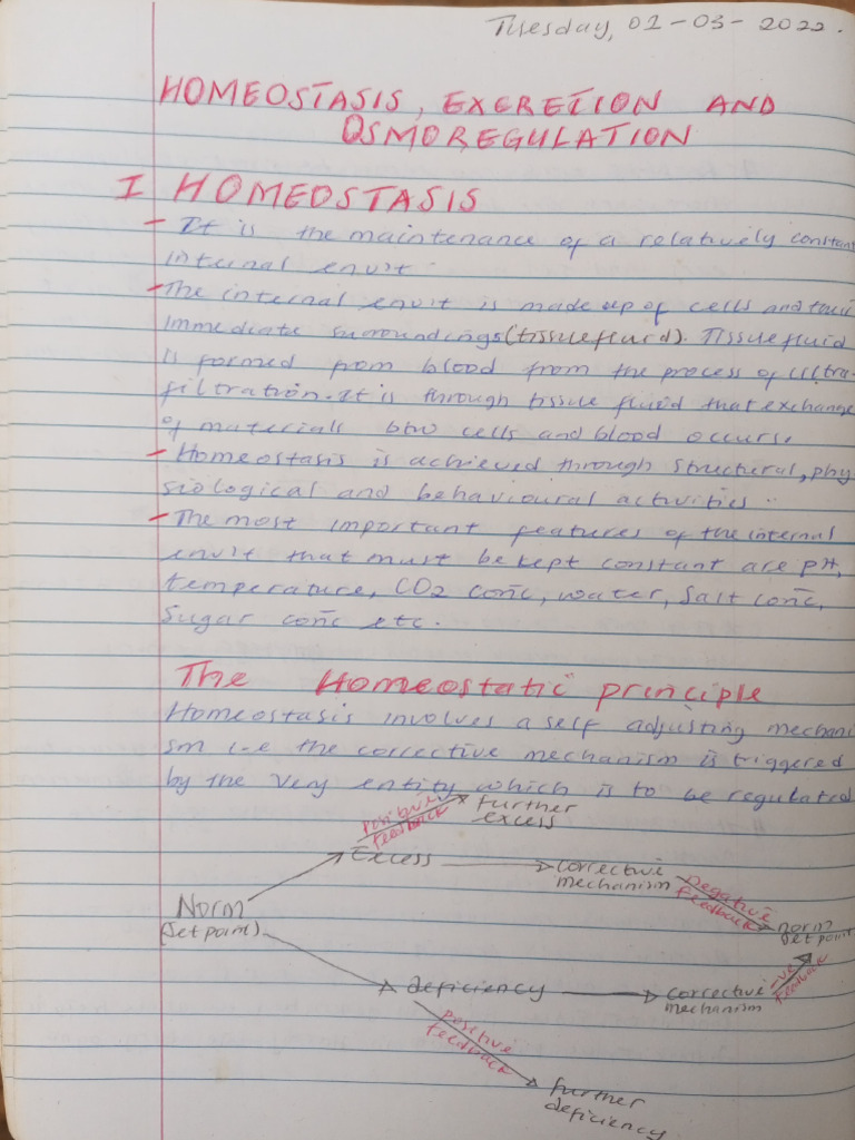 Homeostasis Excretion Osmoregulation | PDF