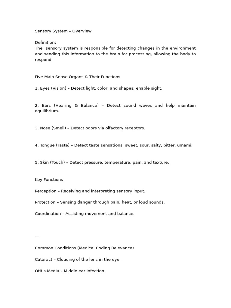 Sensory System Ov | PDF