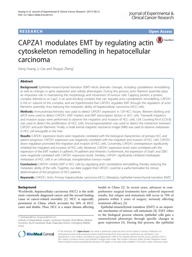 CAPZA1 Modulates EMT by Regulating Actin Cytoskeleton Remodelling in ...