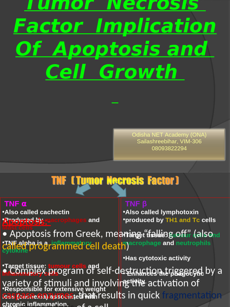 Apoptosis and NFKB Pathway | PDF | Apoptosis | Nf κb