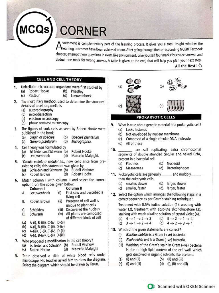 Cell Practice Questions | PDF