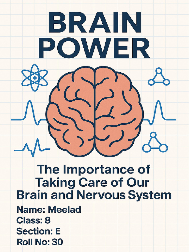 Brain Power - The Importance of Taking Care of Our Brain and Nervous ...