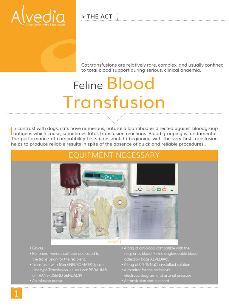 Feline Blood Transfusion Guidelines | PDF | Blood Transfusion | Blood