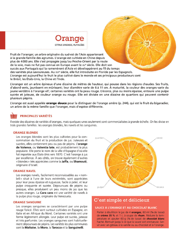Orange | PDF