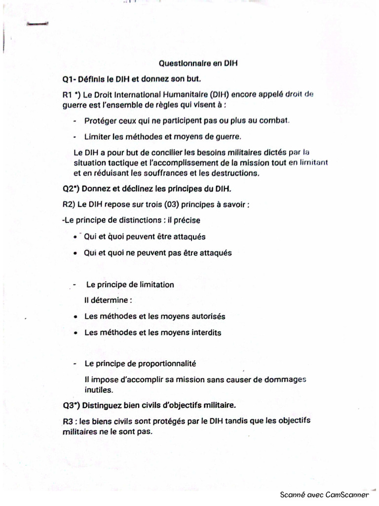 Questionnaire Dih | PDF