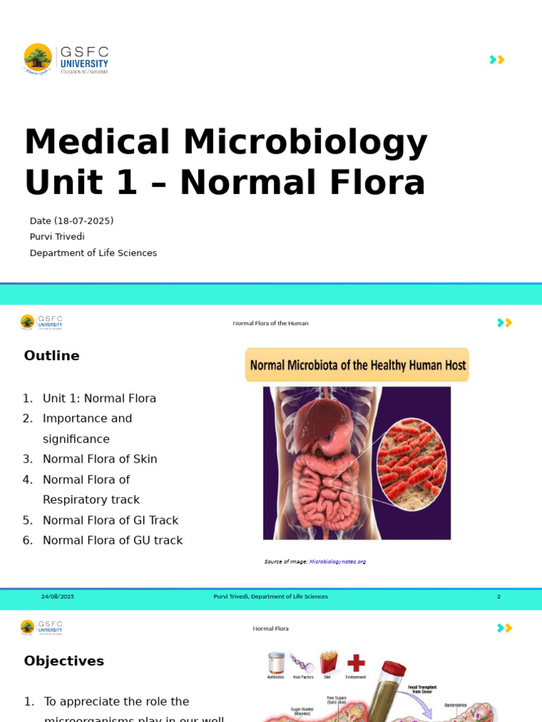 Understanding Normal Microflora | PDF | Microbiota | Microorganism