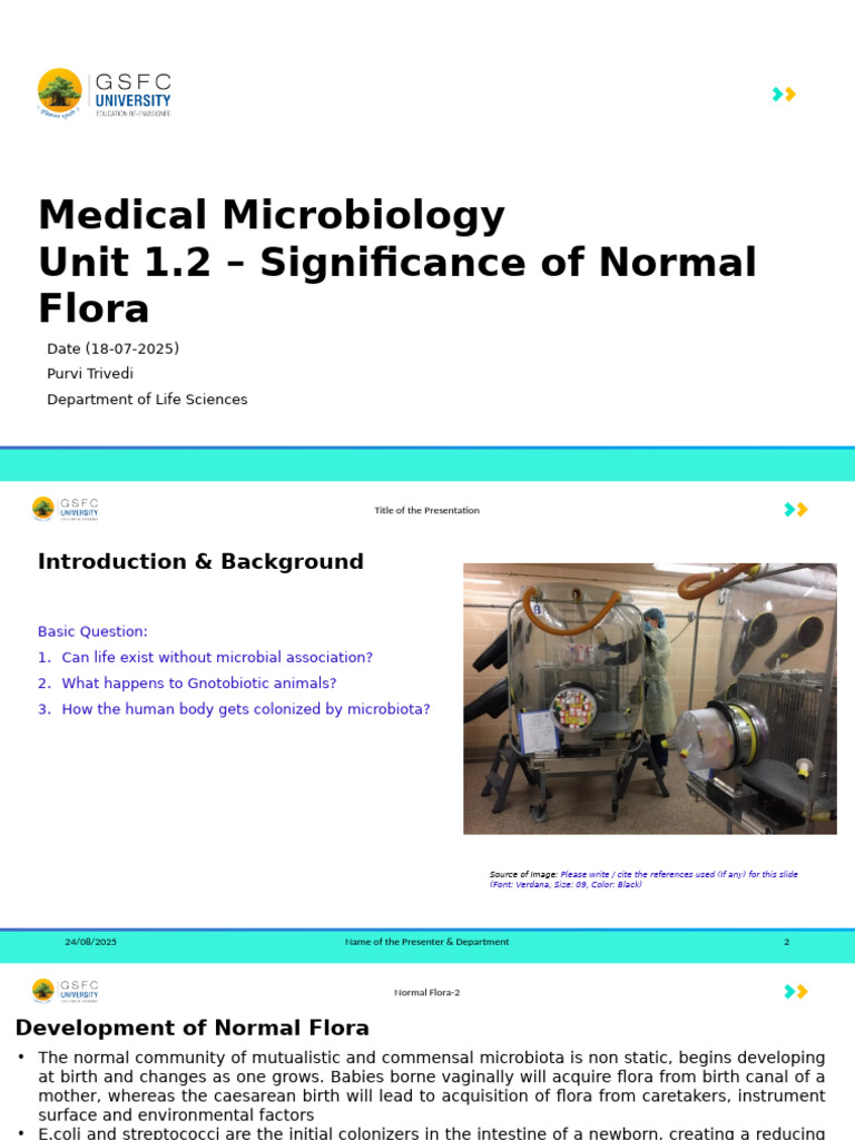 Normal Microflora 2 | PDF | Gastrointestinal Tract | Microbiology