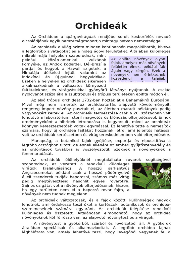 Orchideák | PDF
