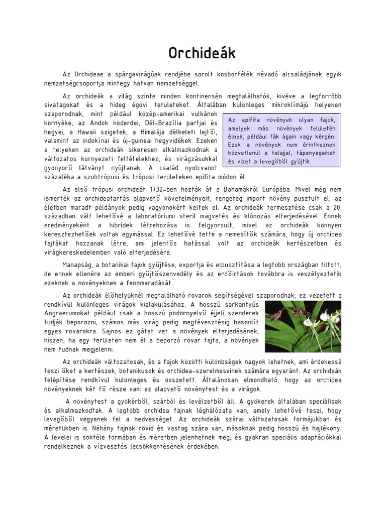 Orchideák | PDF