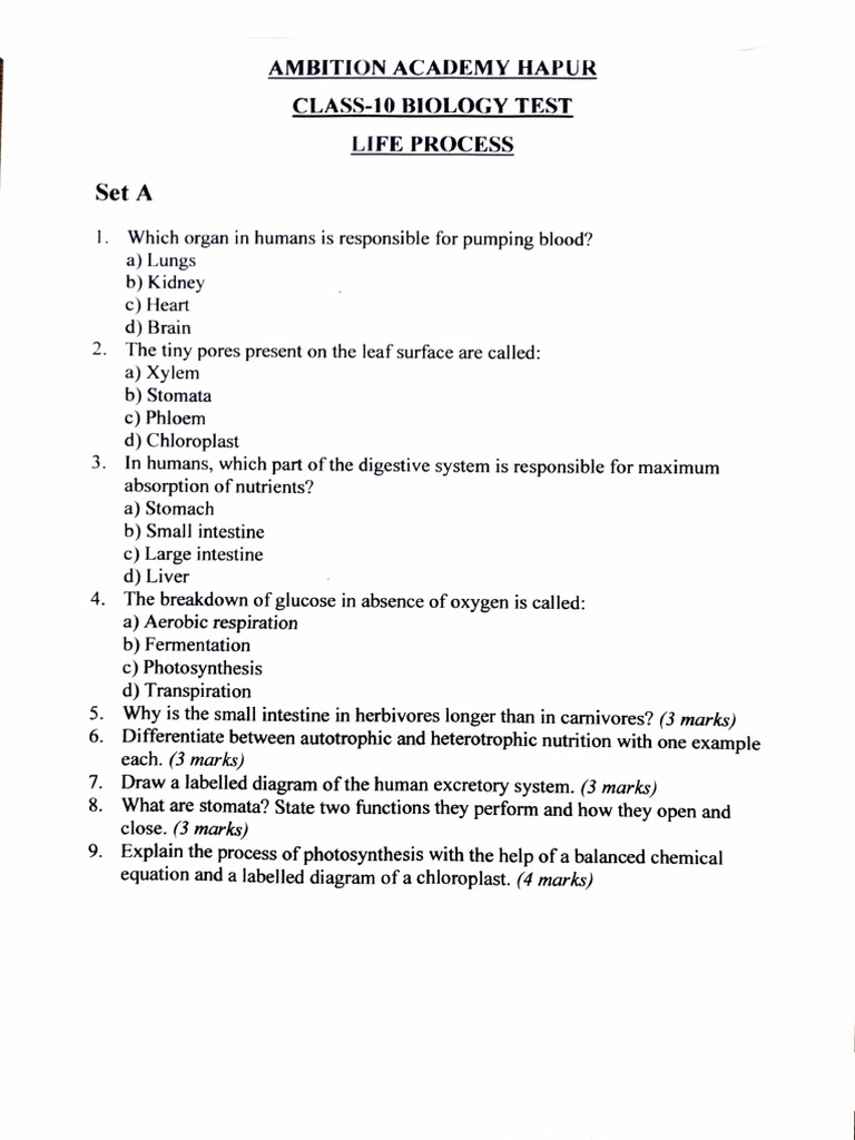 13 August Biology Test Sets | PDF