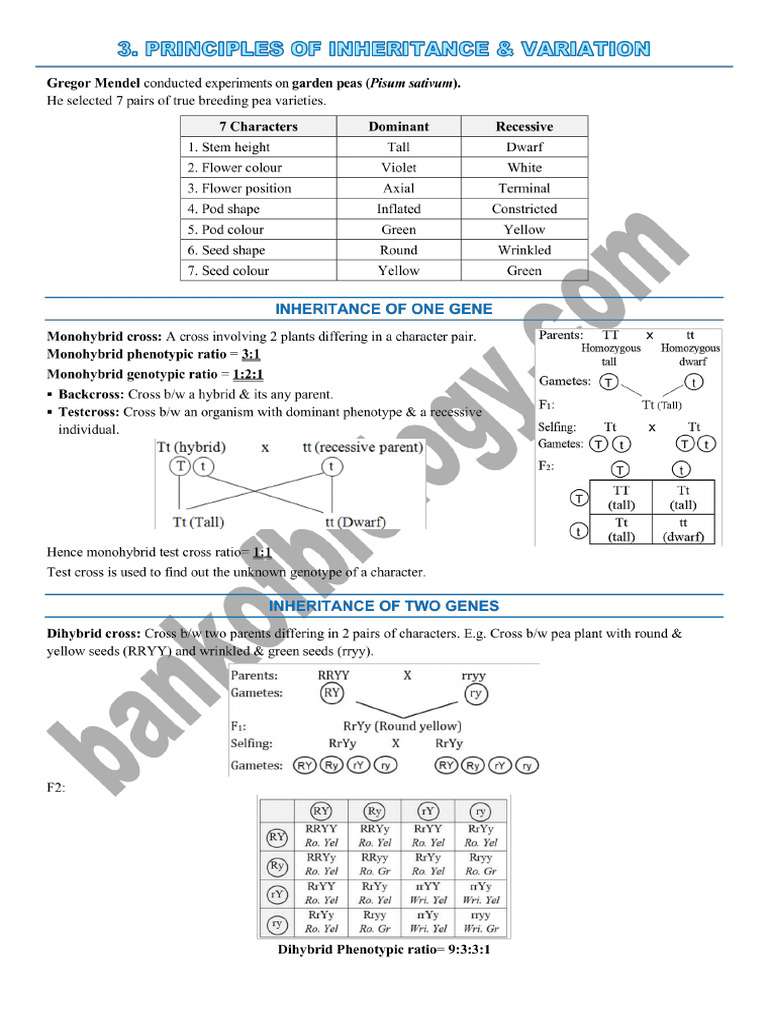 Principle of Inheritance and Variation Notes | PDF | Dominance ...
