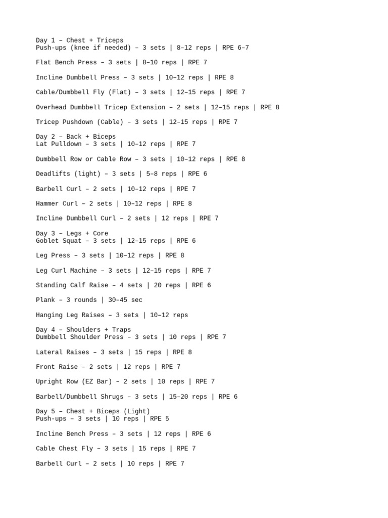 Updated Beginner Workout Plan12pdf | PDF