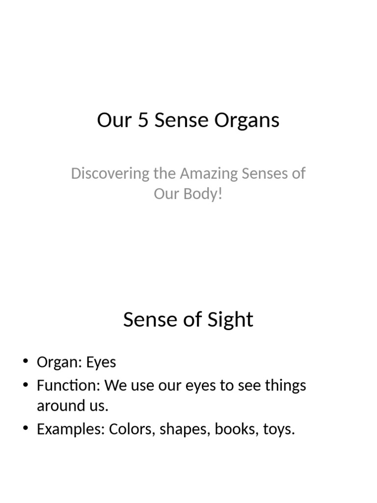 Overview of Our 5 Sense Organs | PDF