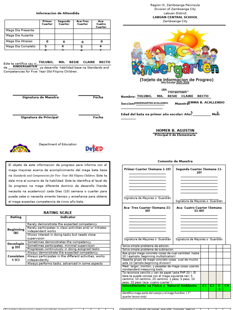 Contextualized Progress Report Final | PDF