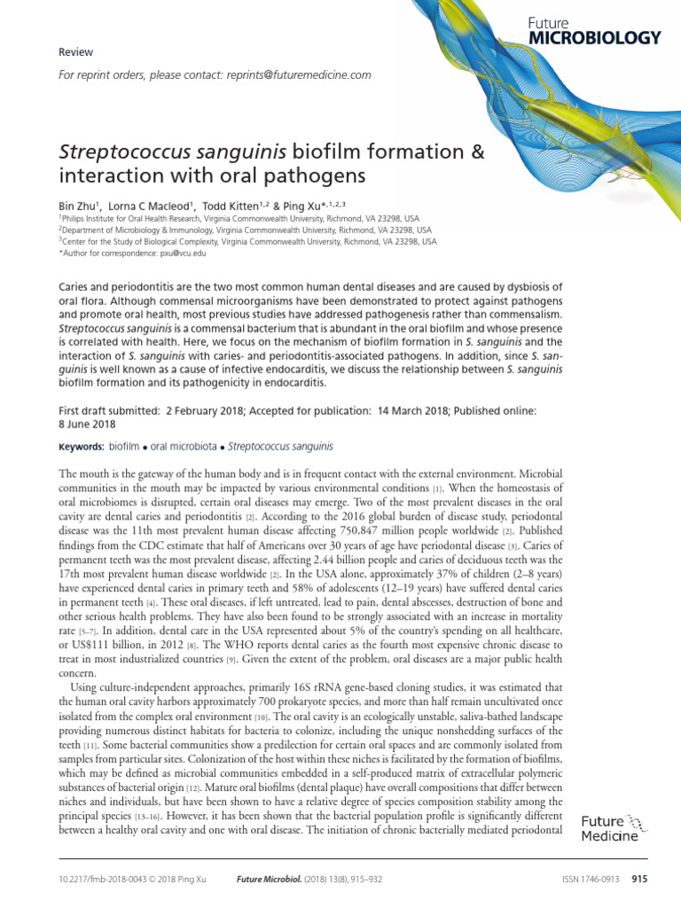 Streptococcus Sanguinis Biofilm Formation & Interaction With Oral ...