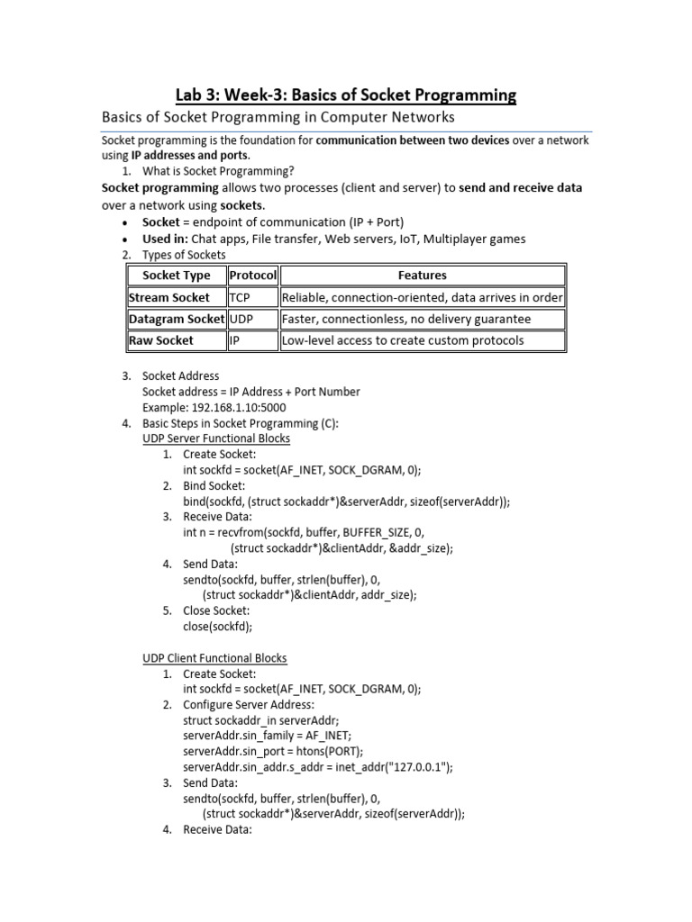lab 3 cn | PDF | Network Socket | Port (Computer Networking)